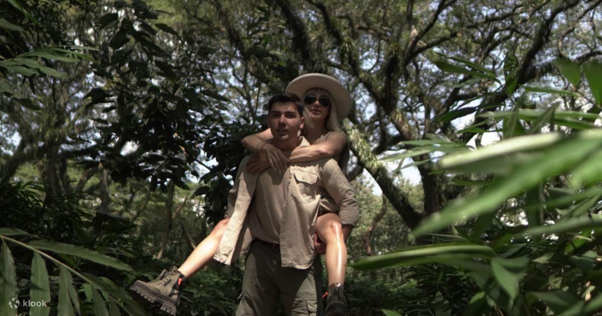 2D1N De Djawatan, Red Island, Rajegwesi Beach Tour in Banyuwangi - Klook